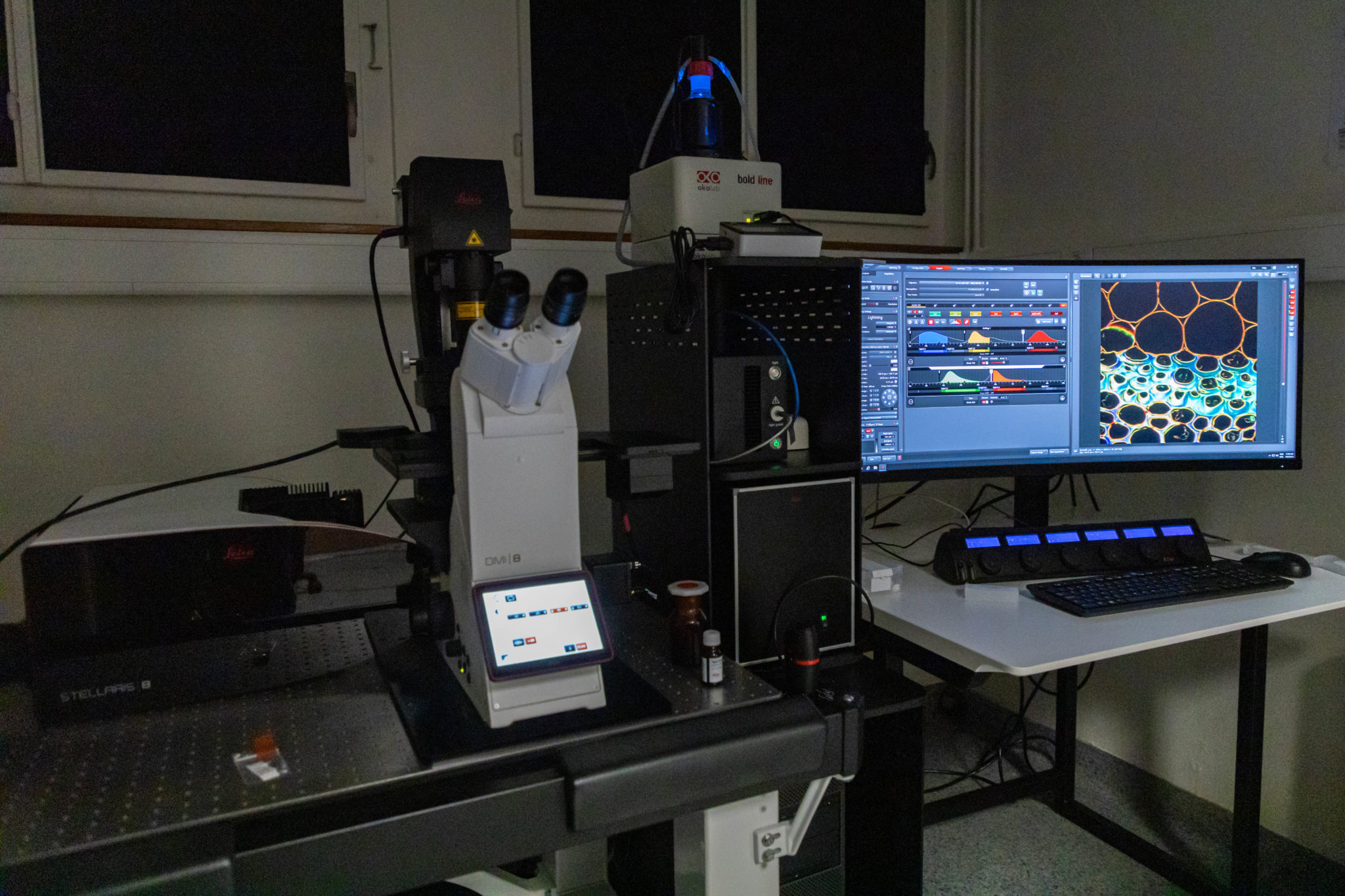 Leica Stellaris 8 available for training – Cellular Imaging Facility